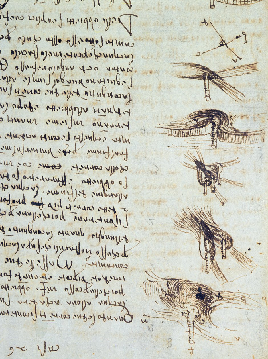 Wissenschaftliche Diagramme, aus dem Codex Leicester, 1508-12 (Detail)