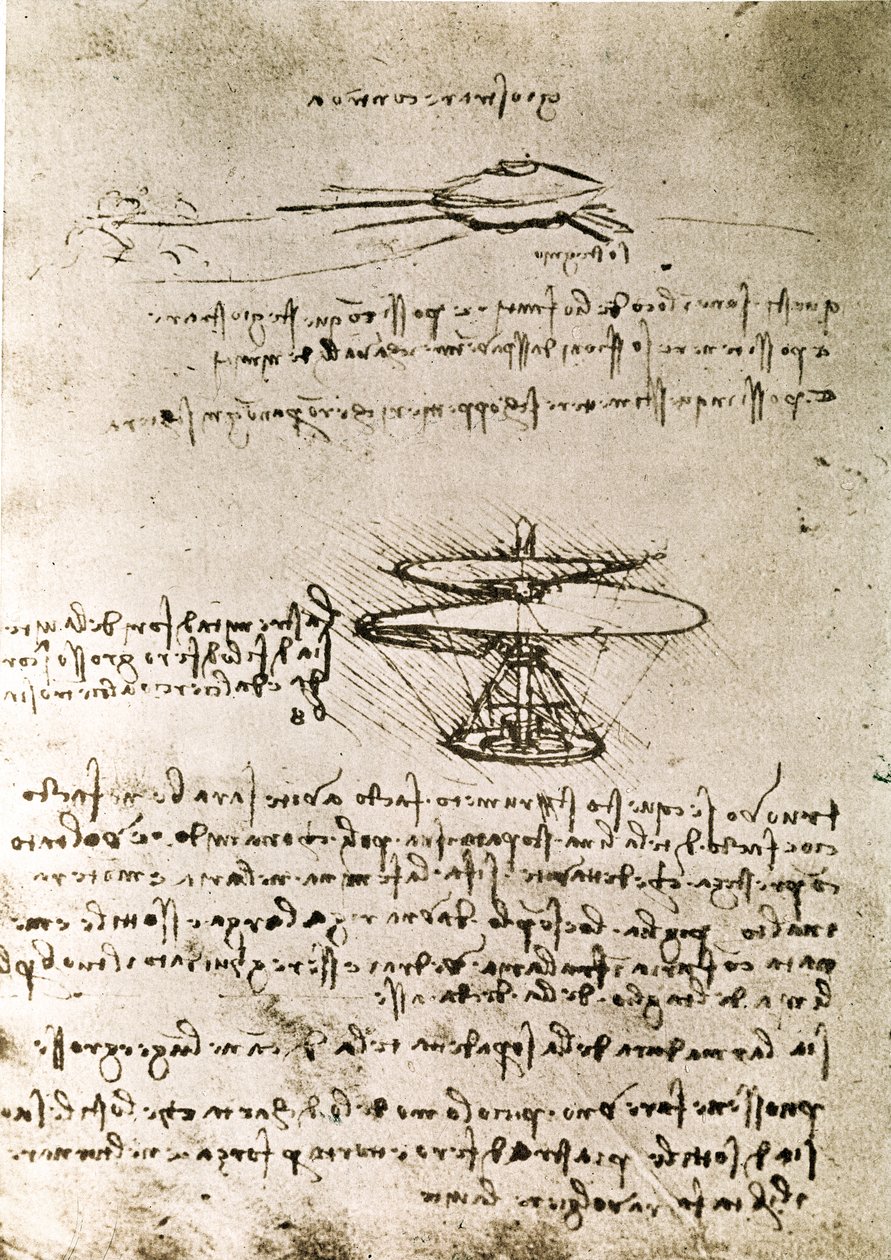 von Leonardo da Vinci: Hochwertigste Kunstreproduktion