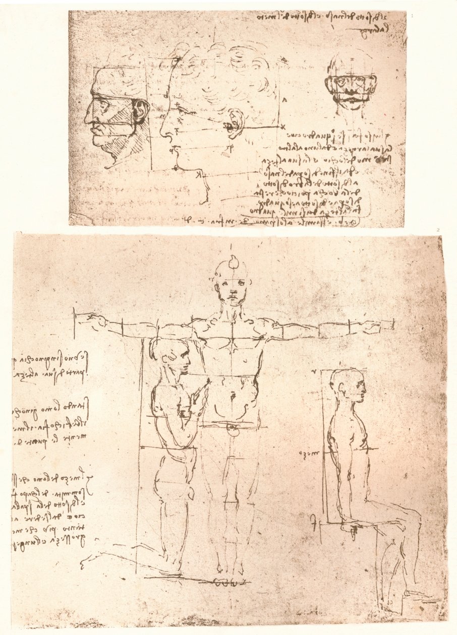Zwei Zeichnungen zur Theorie der Proportionen der menschlichen Figur