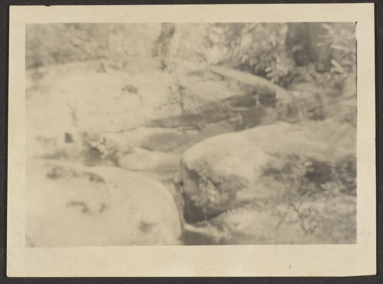 [Landschaft mit Felsen] von Louis Fleckenstein: Kunstdruck