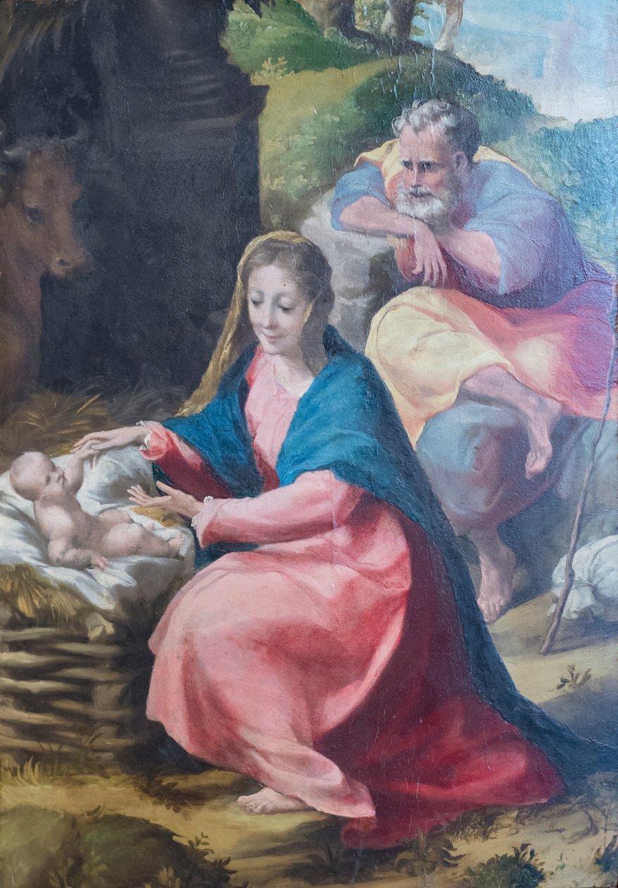 Die Geburt Christi von Michelangelo Anselmi: Kunstdruck