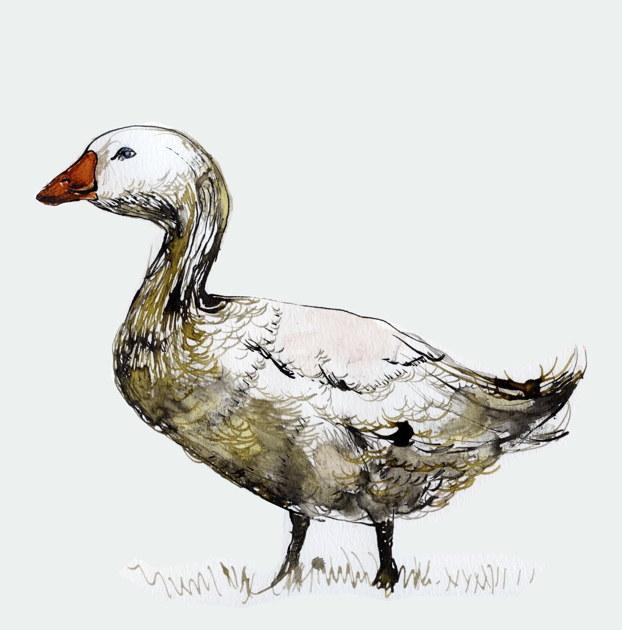 Schmutzige Gans von Nancy Moniz Charalambous: Kunstdruck