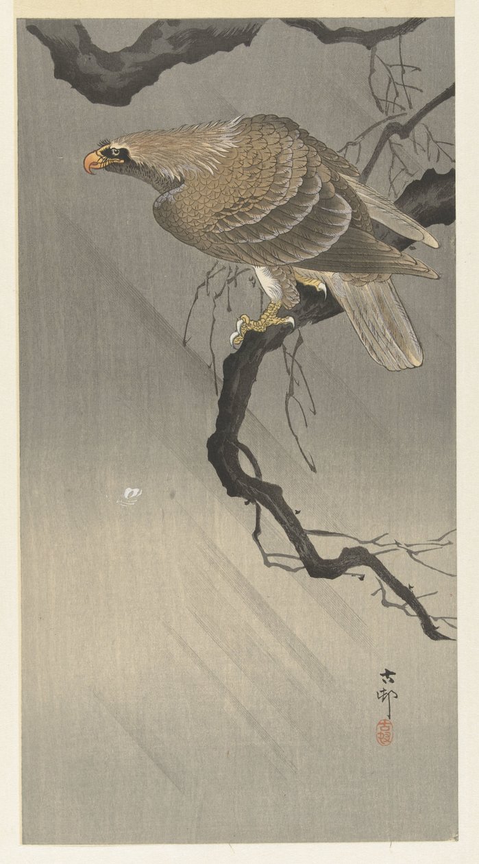 Adler auf einem Ast von Ohara Koson: hochwertiger Kunstdruck