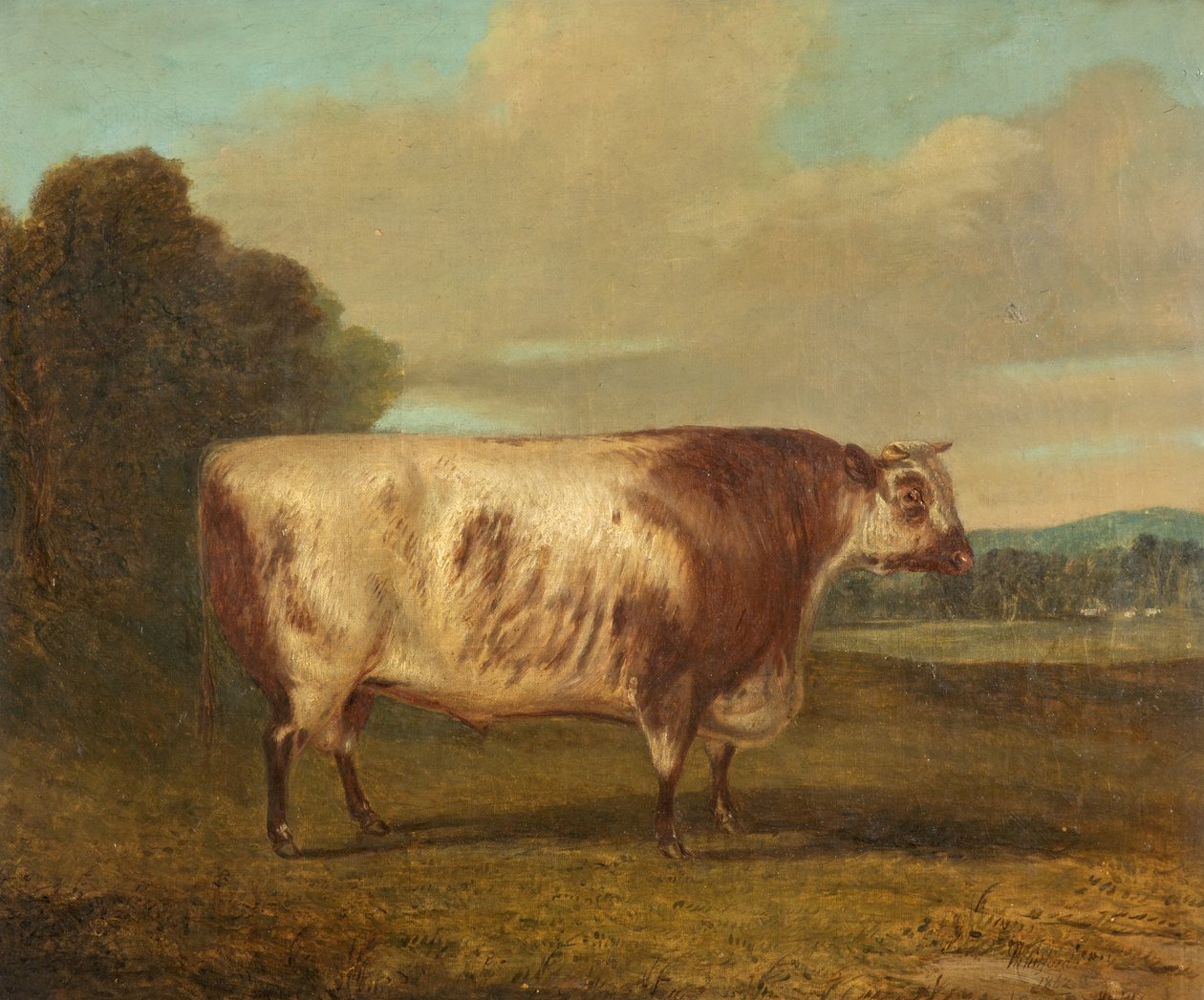 Ein Stier, 1862 von Richard Whitford: Kunstdruck kaufen