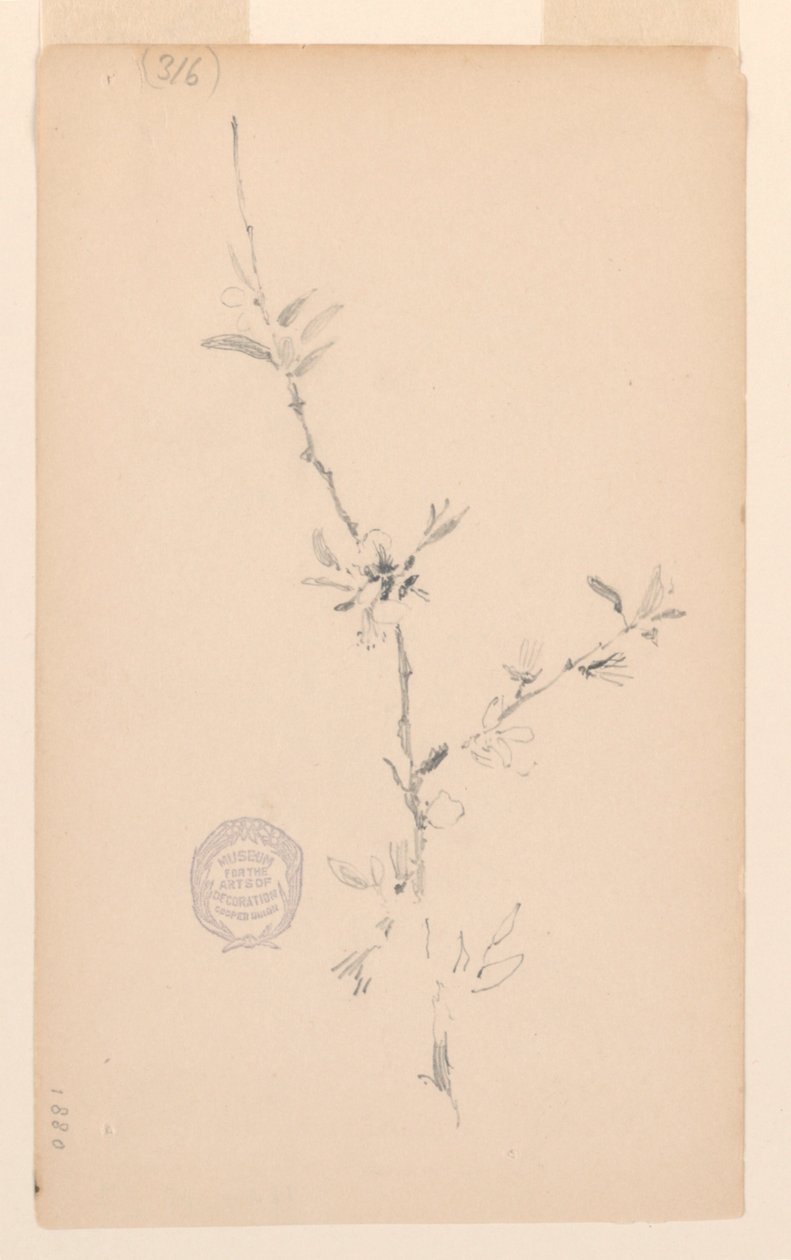 Ast von Robert Frederick Blum: hochwertiger Kunstdruck