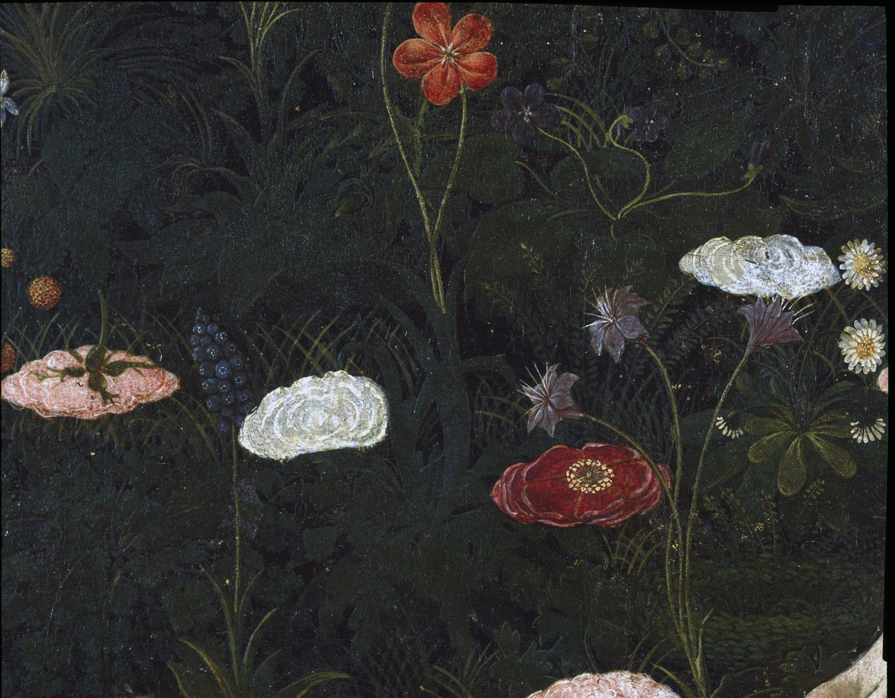 Primavera (Detail) von Sandro Botticelli: Kunstdruck