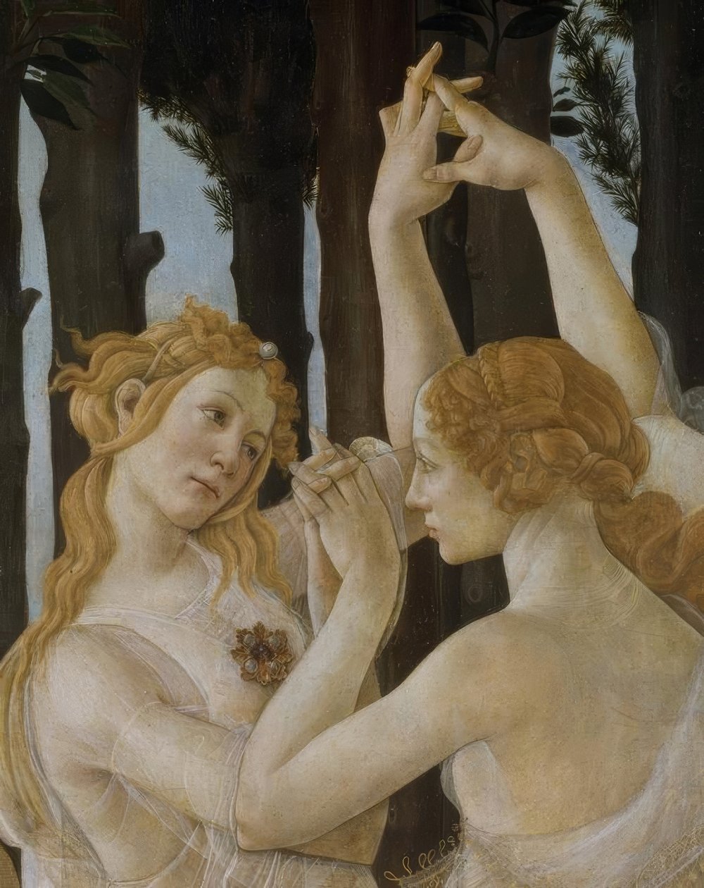 Sandro Botticelli Primavera Primavera (Botticelli) – Wikipedia