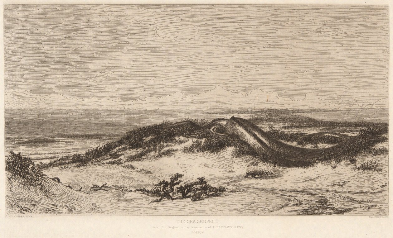 Die Seeschlange von Stephen Alonzo Schoff: Kunstdruck