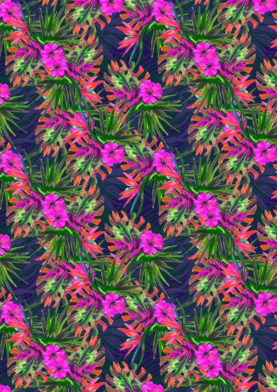 Amazilia von Tara Whitehead: hochwertiger Kunstdruck