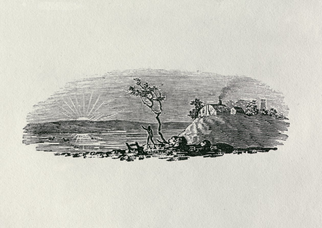 Wintersonnenuntergang aus 'History of British Birds and Quadrupeds'