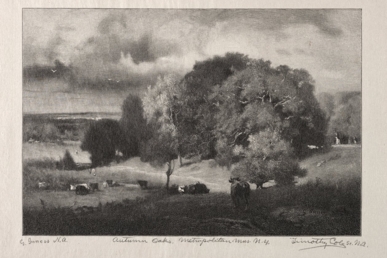 Herbst-Eichen von Timothy Cole: hochwertiger Kunstdruck