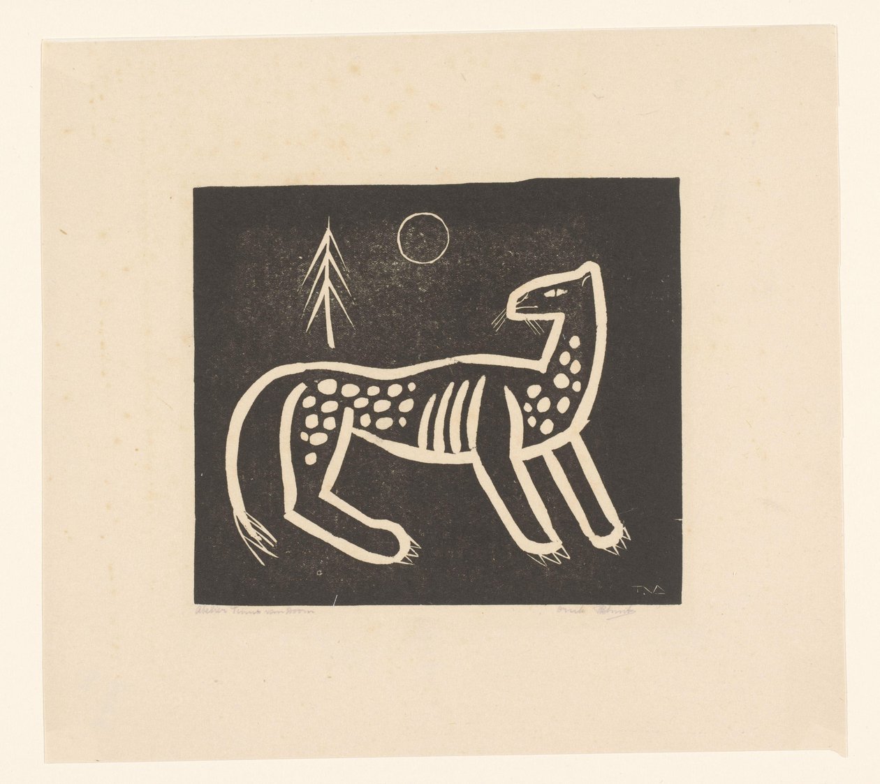 Tiger von Tinus van Doorn (signed by artist): Kunstdruck