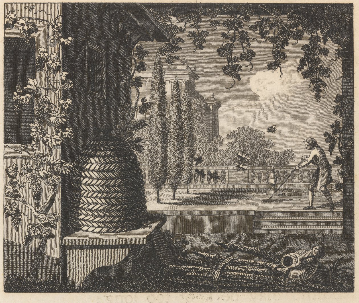 Die degenerierten Bienen von William Skelton: Kunstdruck