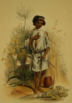 Charley, ein halbkastiger Kafir-Junge, Tafel 24 aus "The Kafirs ...