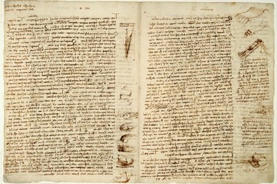 Der Codex Hammer oder Codex Leicester, 1508-12