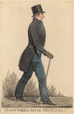 Sir Robert Thomas Wilson; Ein guter Soldat, aber kein General
