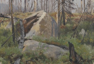 Verstorbener Wald in Kanada von Richard Friese: Kunstdruck