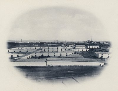 Native Compound, New Primrose Gold Mining Company (s/w Foto)