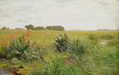 Zwischen Geest und Marsch, c.1880 (#51394)