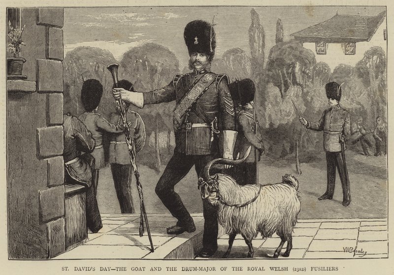 St. David's Day, die Ziege und der Tambourmajor der Royal Welsh (23rd ...